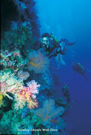 WA Diving Experiences